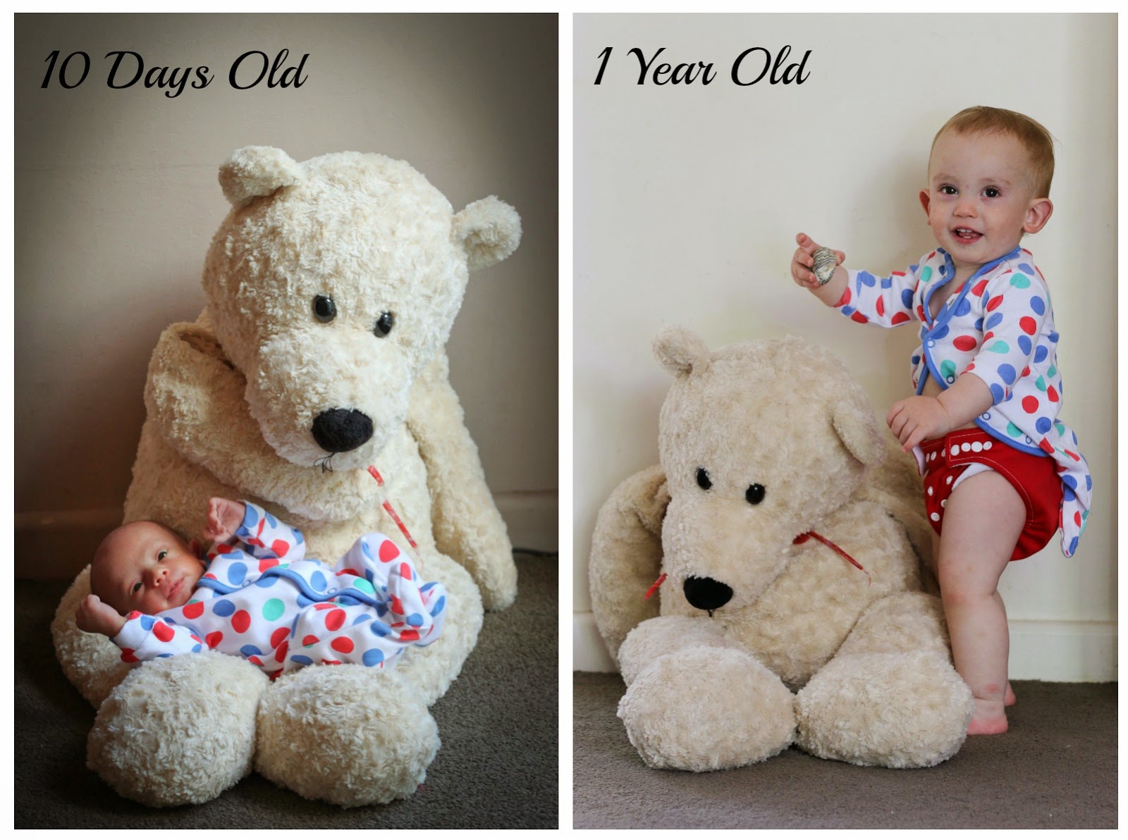 {One Year Old}