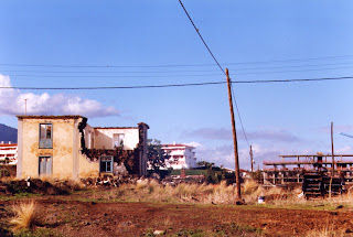 PROYECTO GRAN SIMIO (GAP/PGS ESPAÑA) PRENSA: PROYECTO GRAN SIMIO APOYA ...