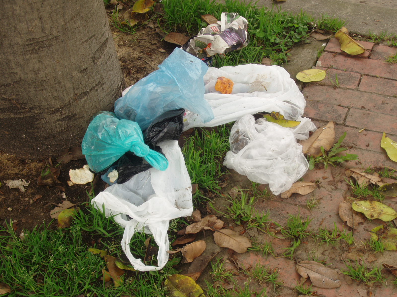 Paranoideas : Mierda de perros pa todos.