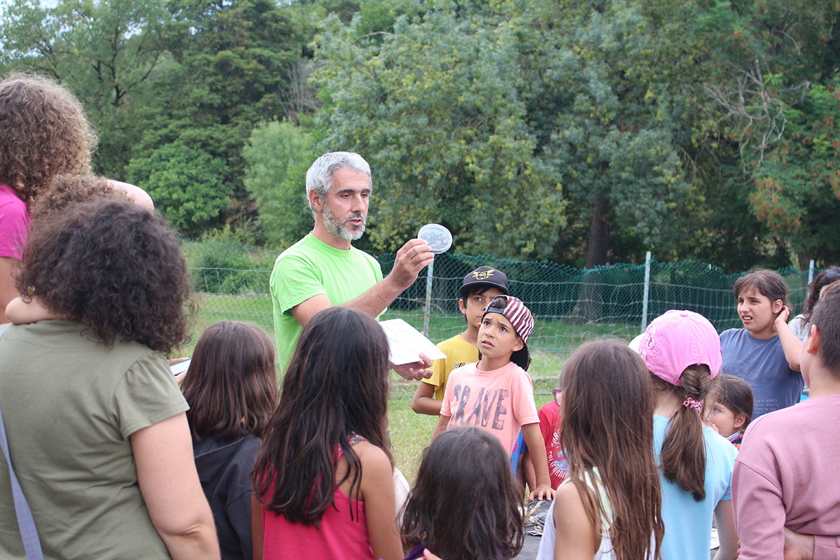 Devolução à Natureza de 2 mochos-galegos em Coimbra