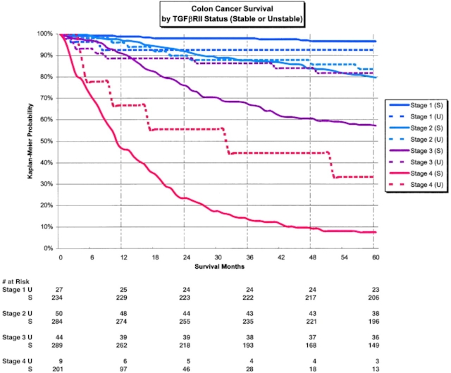 Understanding a Stage 4 Cancer Diagnosis & Prognosis | Mesothelioma Master