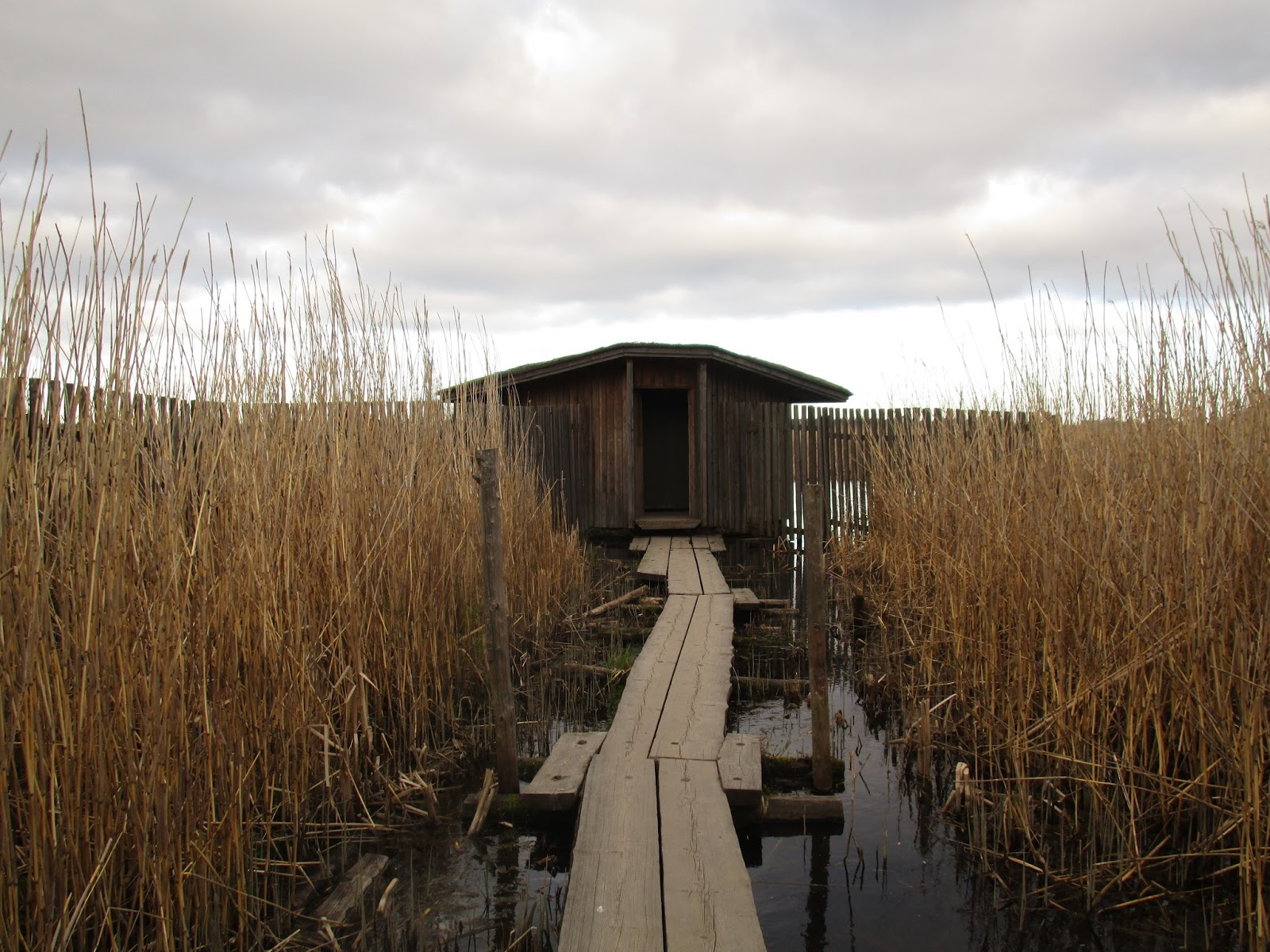 Exploring Helsinki: Lammassaari and Kuusiluoto