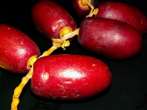 ALIF KORMA: Manfaat Kurma