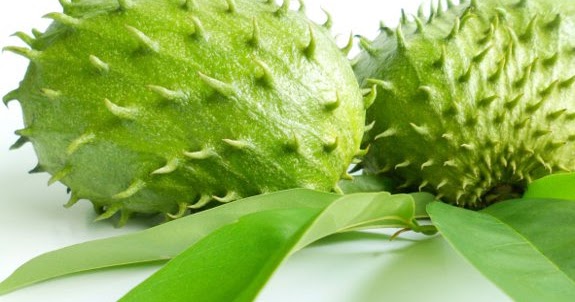 graviolateam finland: Guyabano Health Benefits – Revealing Medicinal ...