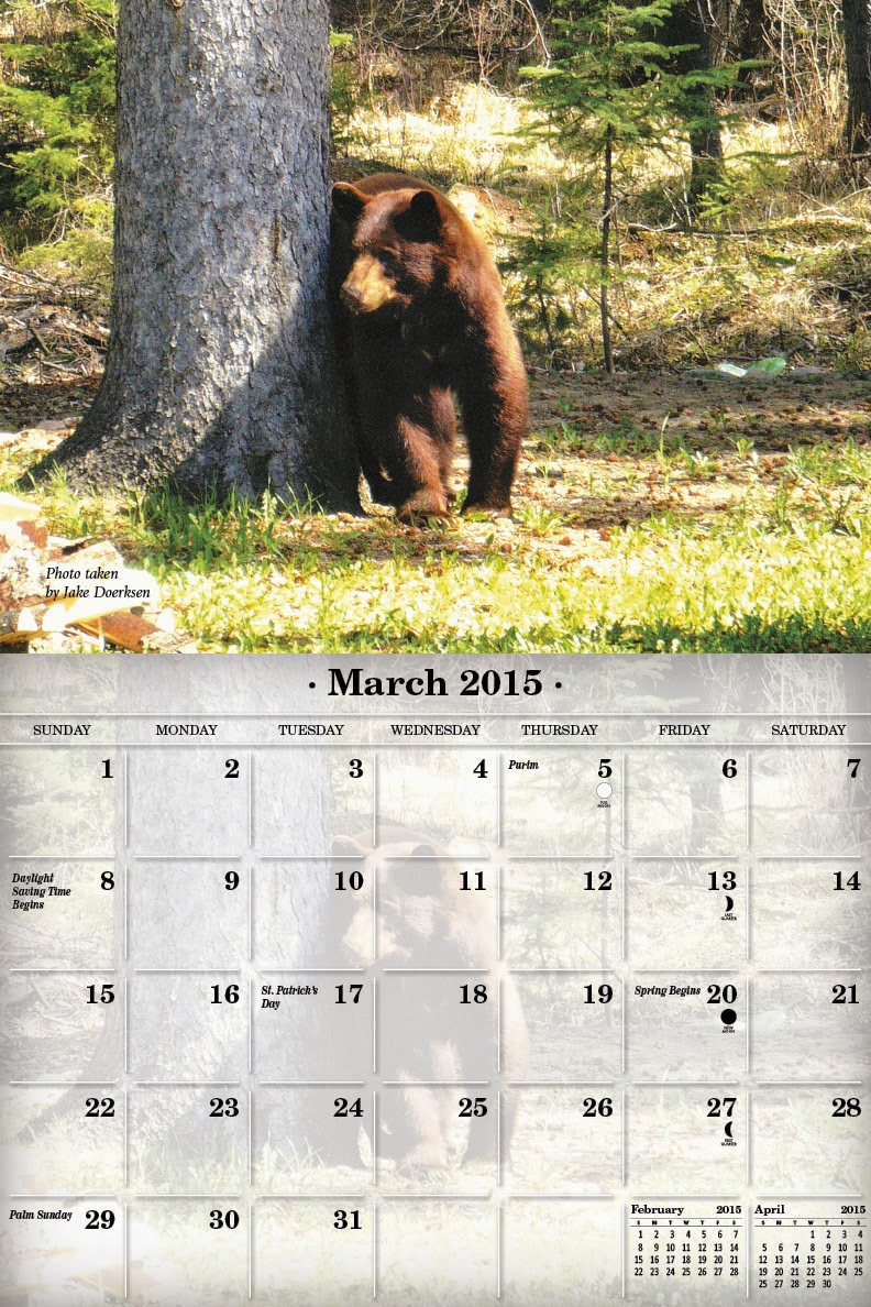 Photography by Lisa: 2015 Wildlife of SK Calendar