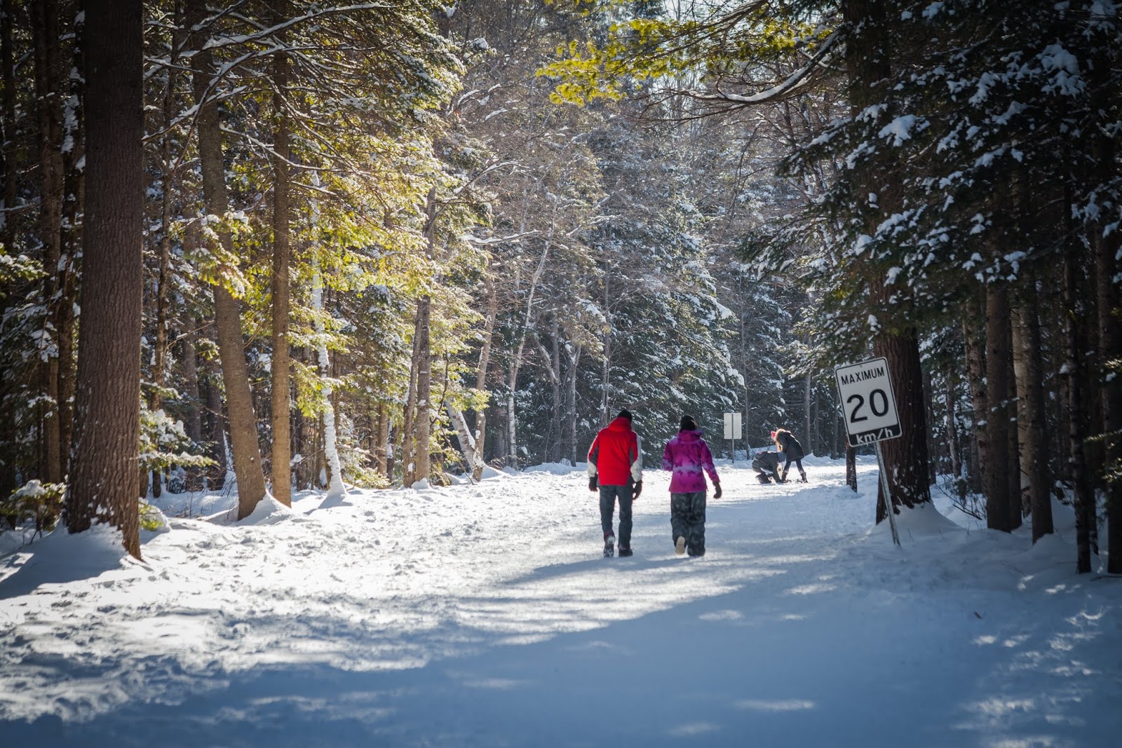 Ice Skating in Muskoka - Explore the World with Simon Sulyma