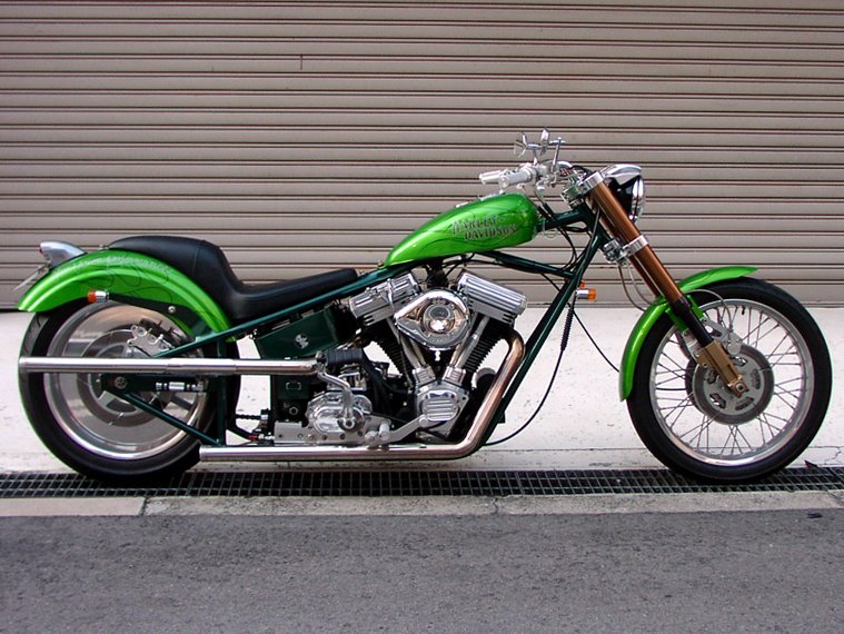 biker excalibur II: FXDL 95 by tramp cycle