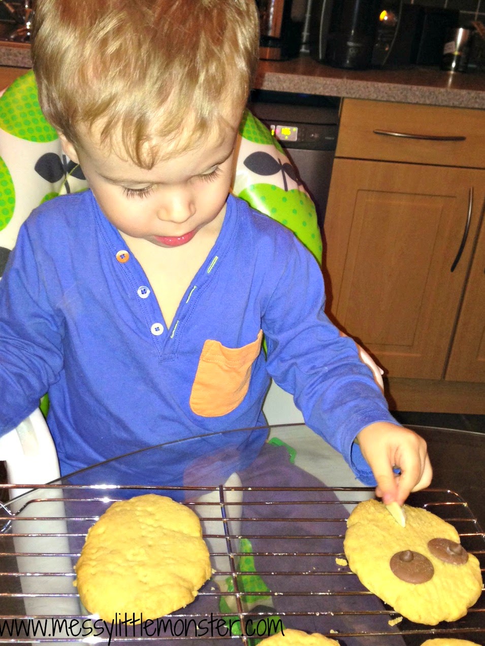 Owl Biscuits - Messy Little Monster