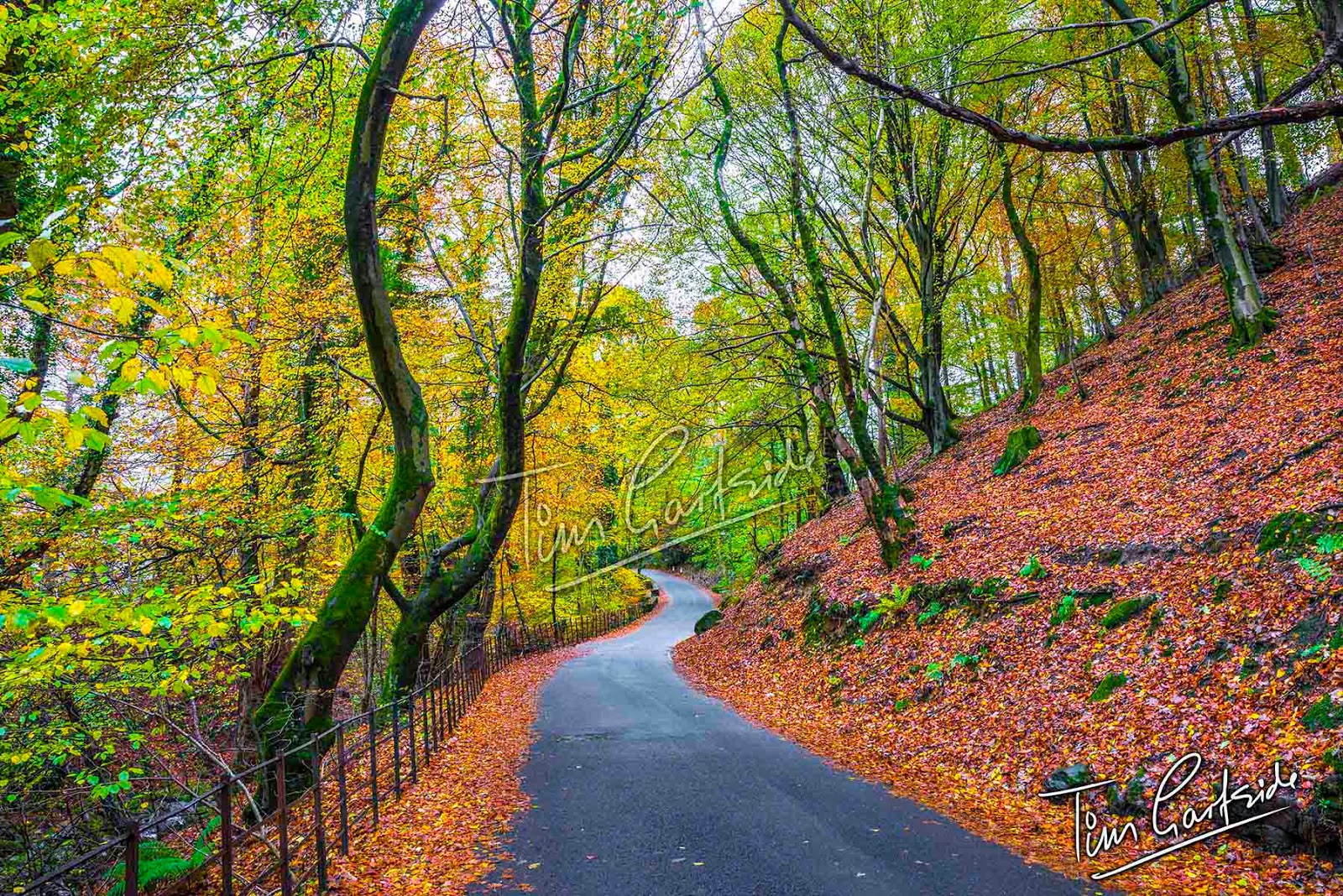 Tim Gartside Photography Workshop Blog