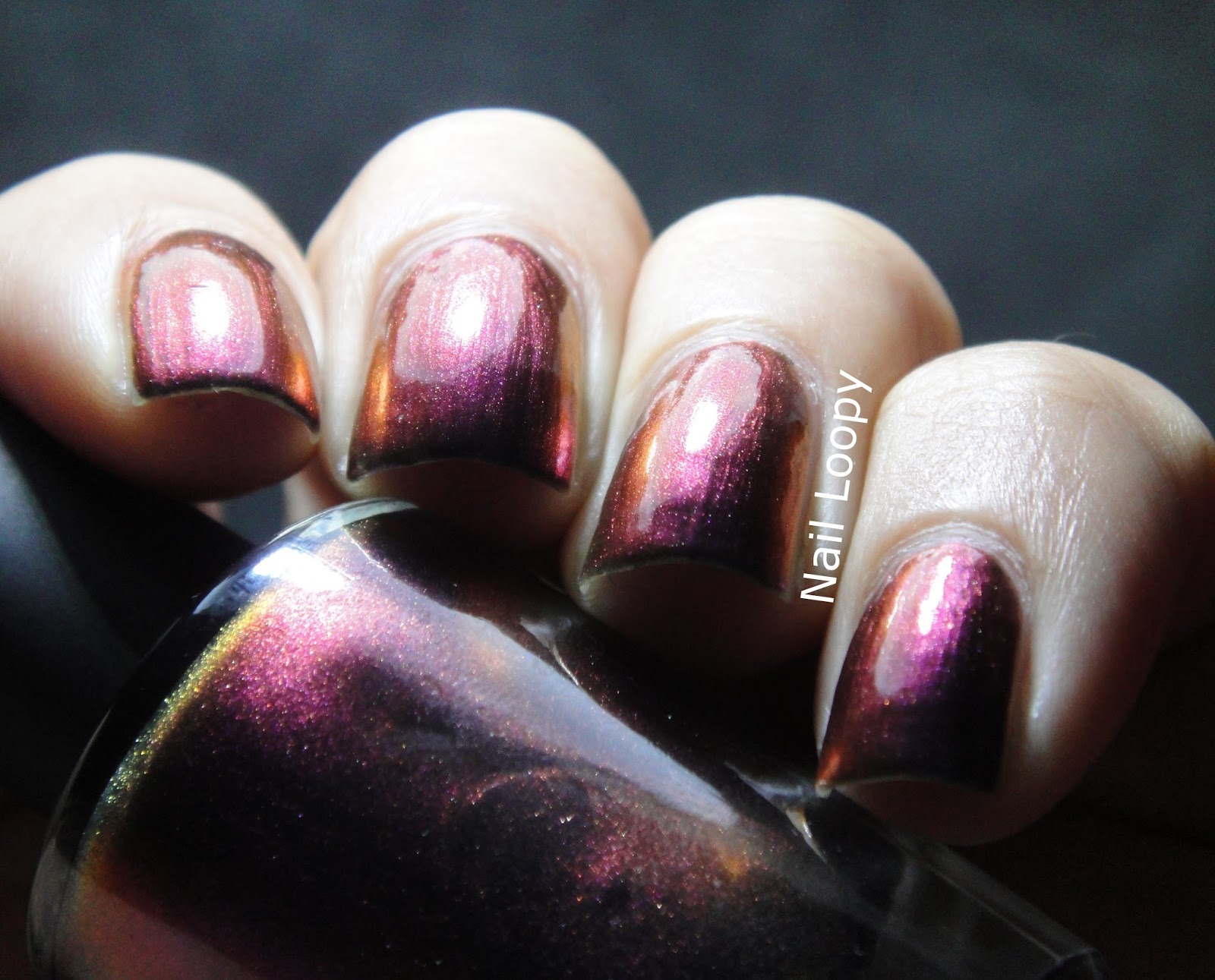 nail loopy: ILNP CYGNUS LOOP