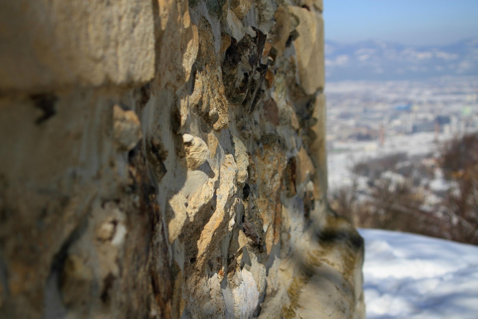 Luna chocolate lab sweeter than a chocolate: Miklavški hrib