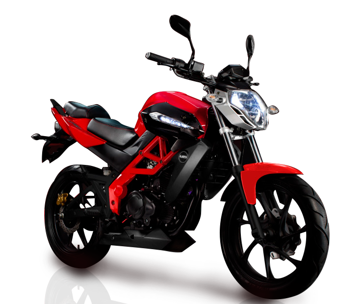 Motor Pasión : UM Xtreet 230