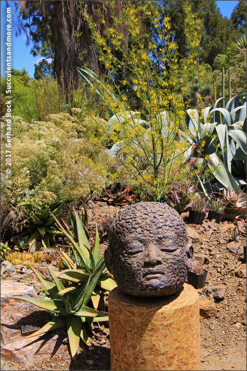 2017 Sculpture in the Garden at the Ruth Bancroft Garden