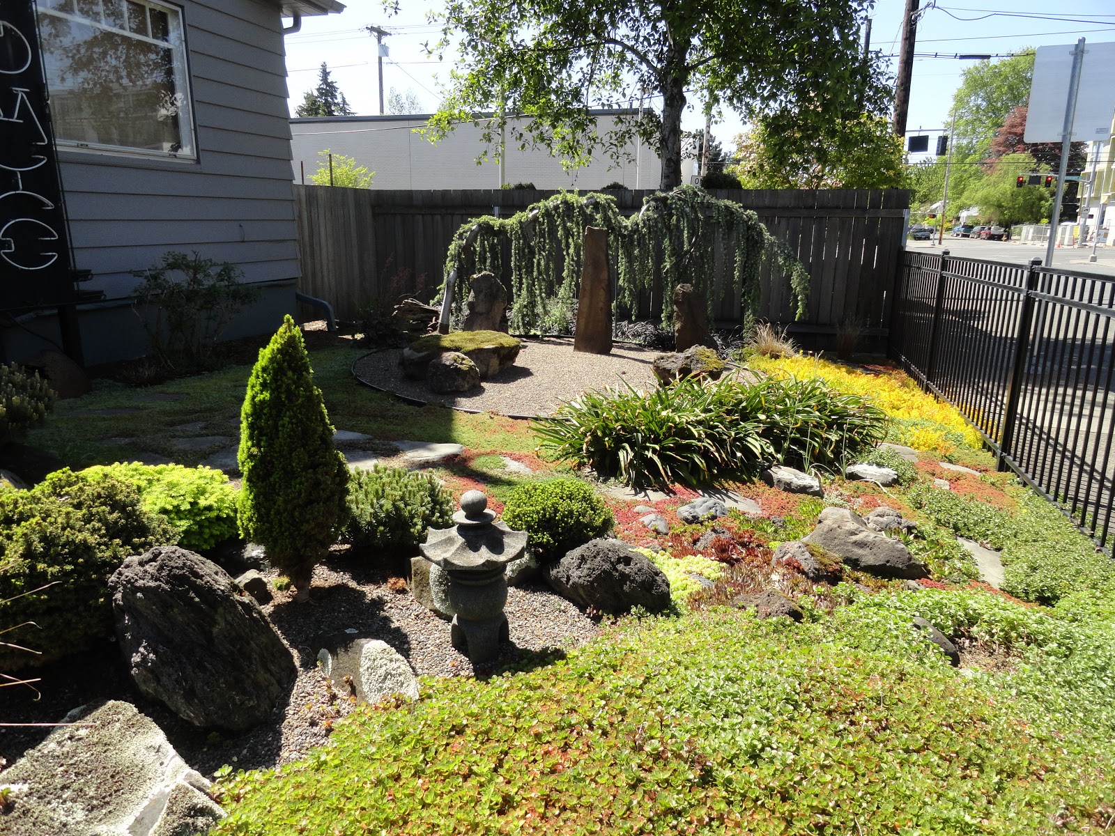 danger garden: The Lizardland Garden