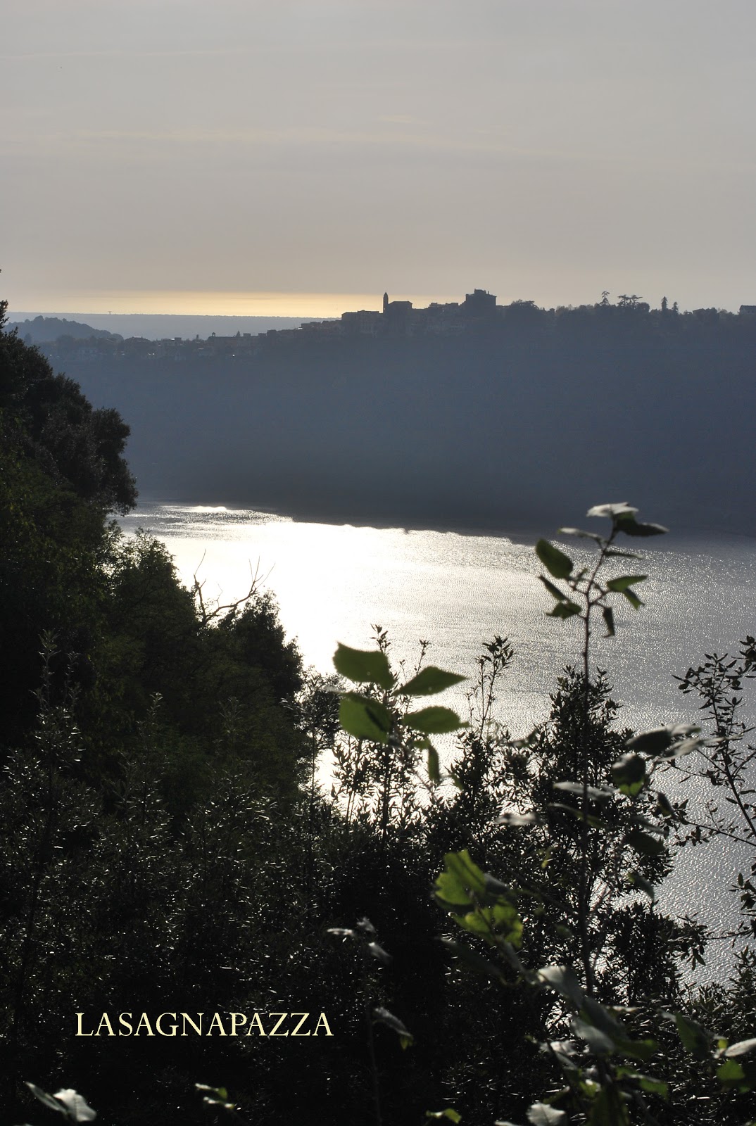lasagnapazza: QUICHE VEGETARIANA AL LOU BERGIER E UN’ESPERIENZA ...