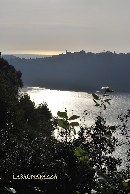 lasagnapazza: QUICHE VEGETARIANA AL LOU BERGIER E UN’ESPERIENZA ...