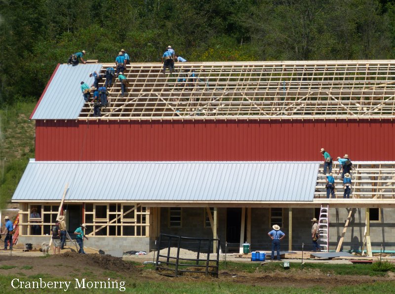 Cranberry Morning: Amish Barn Raising