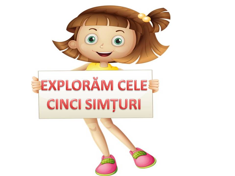 S.T.R.U.M.F. : Exploram cele cinci simturi