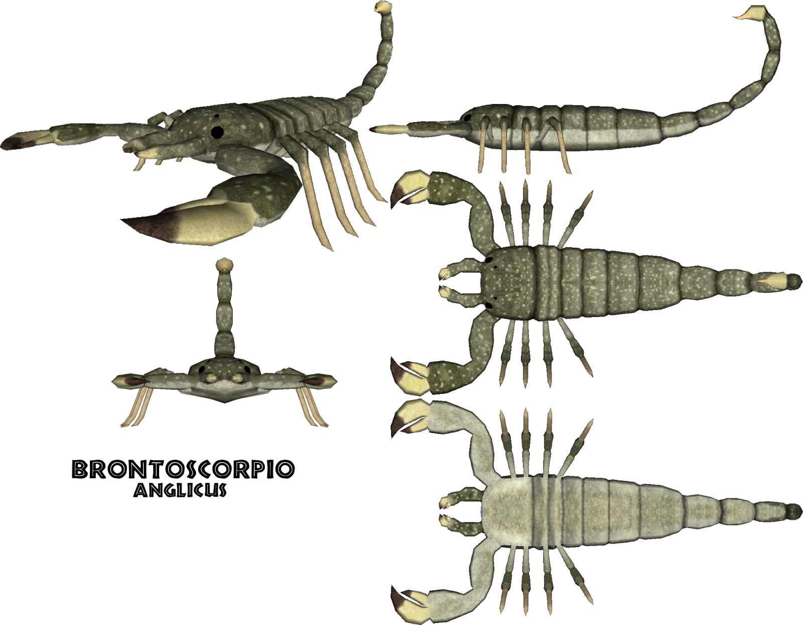 Dinosaurios y Vida Prehistórica: EL BRONTOSCORPIO, UN ENIGMÁTICO ...