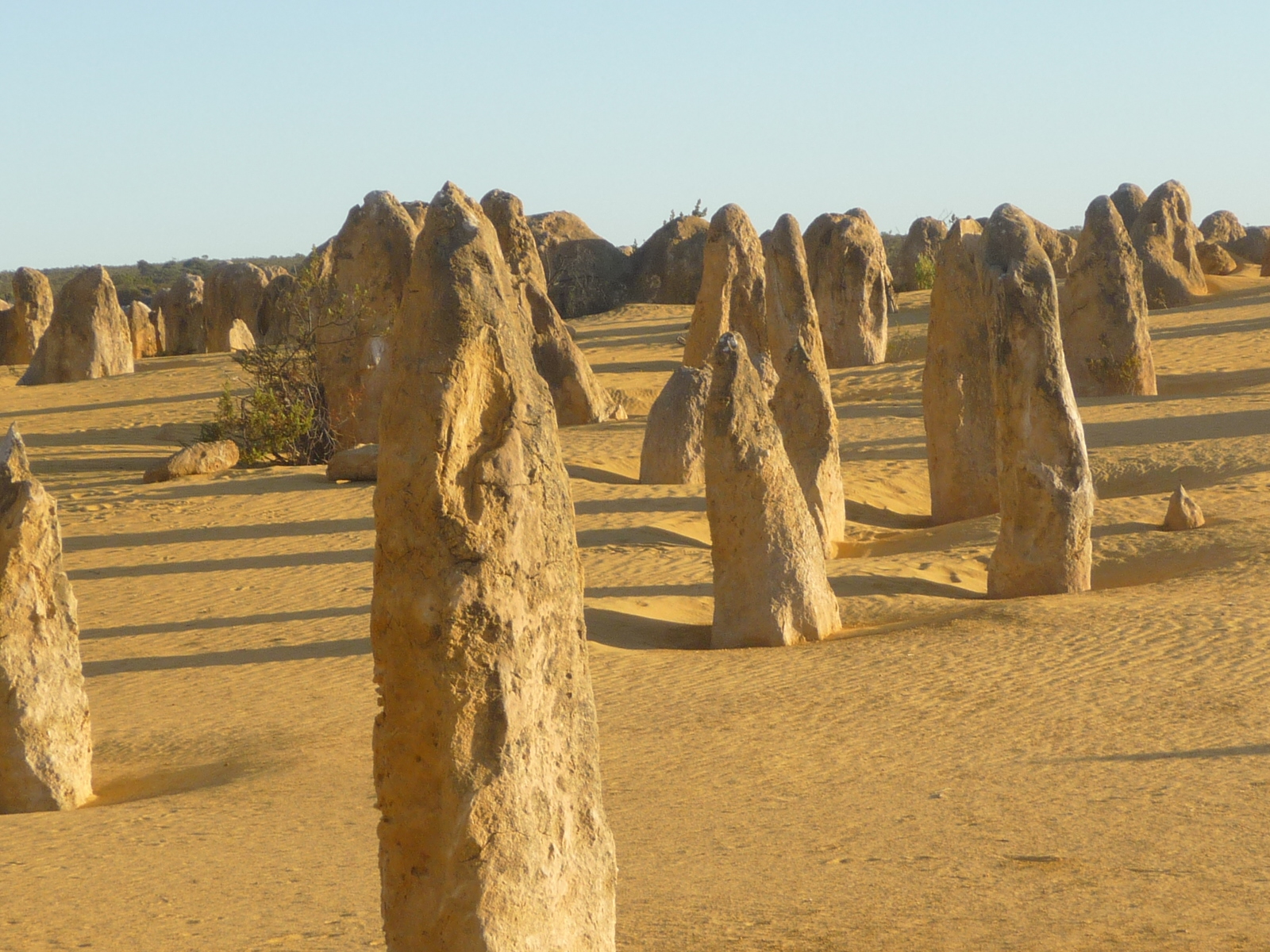 Australian Adventures: Nambung National Park and Wanagarren Nature ...