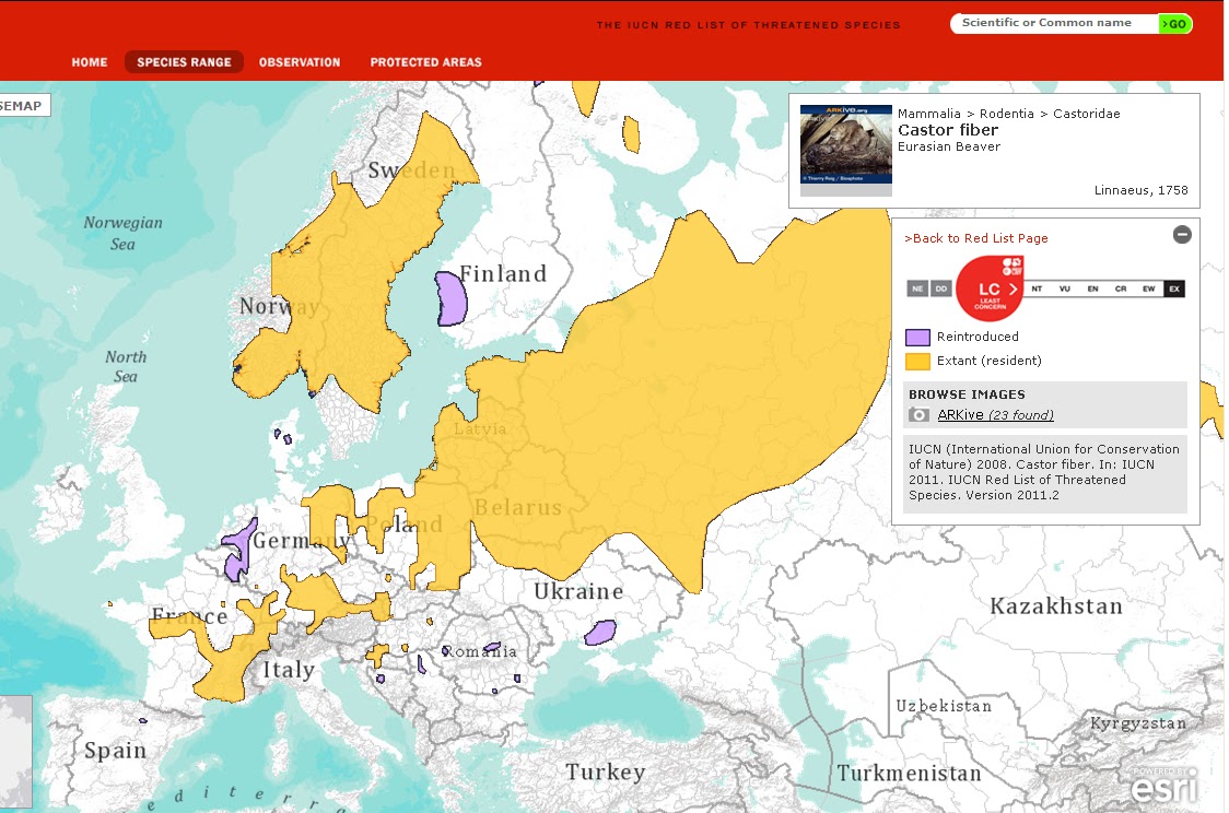 Cuaderno de Campo: Castores - Cap. III