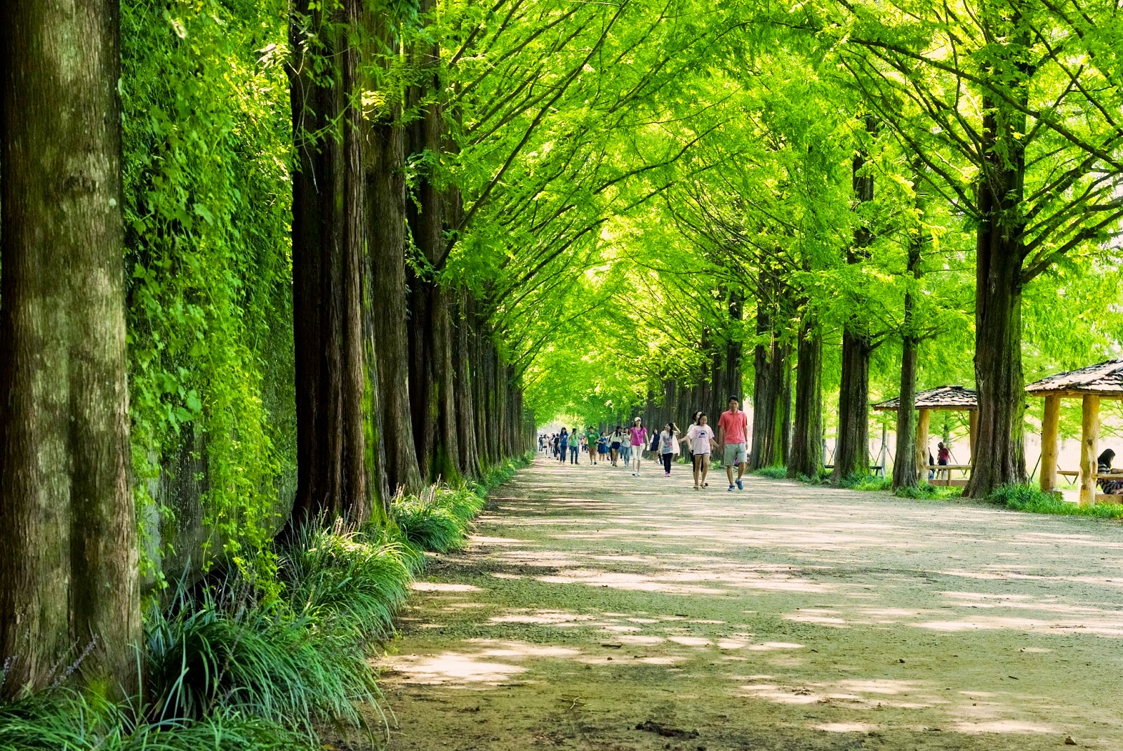 The ClickFreak: Live.Learn.Share: Chuseok Adventure in Jeollanam-do ...