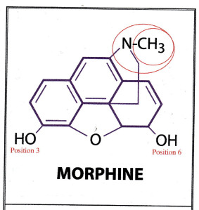 Rismarika: Analgetik