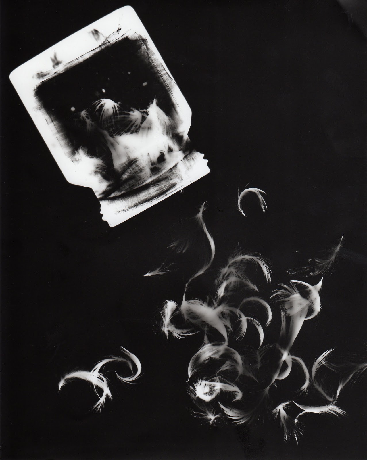 Print to Pixel: Rayogram Workshops