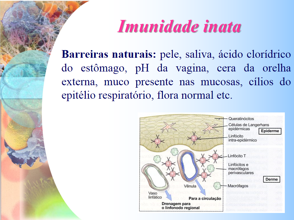 ABOUT HEALTH: Mecanismo da Resposta Imune