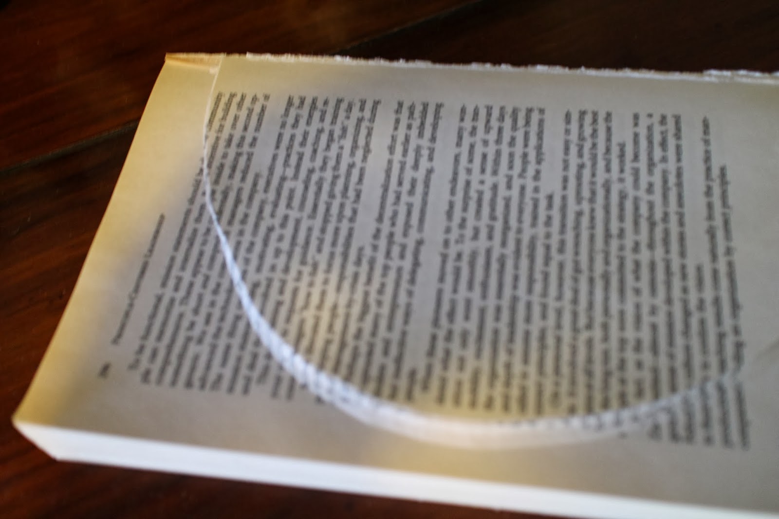 Sunday View: Tutorial: Book Pumpkin