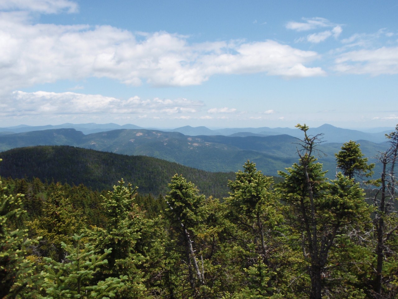 Matt's Hikes: Mount Nancy - June 16, 2012