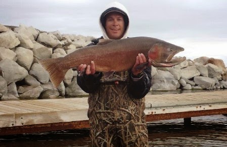 Big Fishes of the World: TROUT CUTTHROAT (Oncorhynchus clarkii)