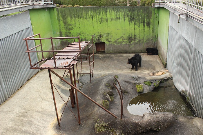 Zoos in Japan: Aso Cuddly Dominion