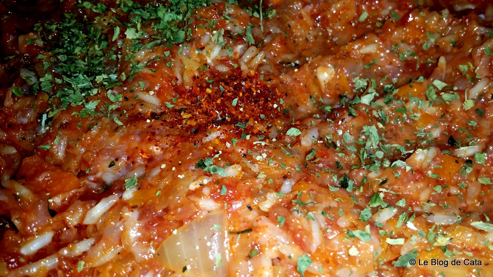 Le blog de Cata: Choux farcis à la russe (Goloubtsy)