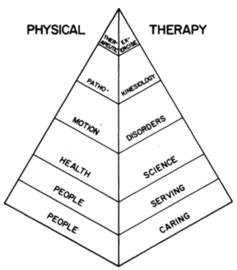 Fitness Pollenator: Is There A Science to Physical Therapy?