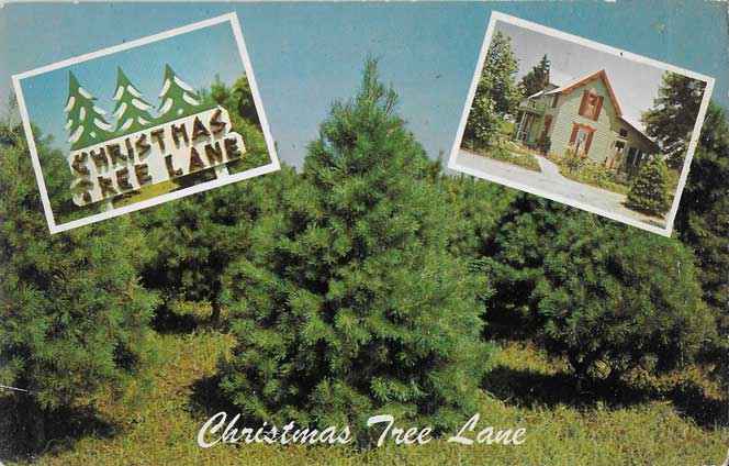 *Postcard Gems: Christmas Tree Lane