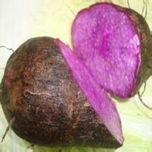 Plantas Medicinais Brasileiras: Cará e inhame são alimentos antigos na ...