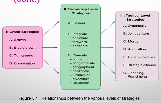 theRelentless Aries: Corporate Level Strategy