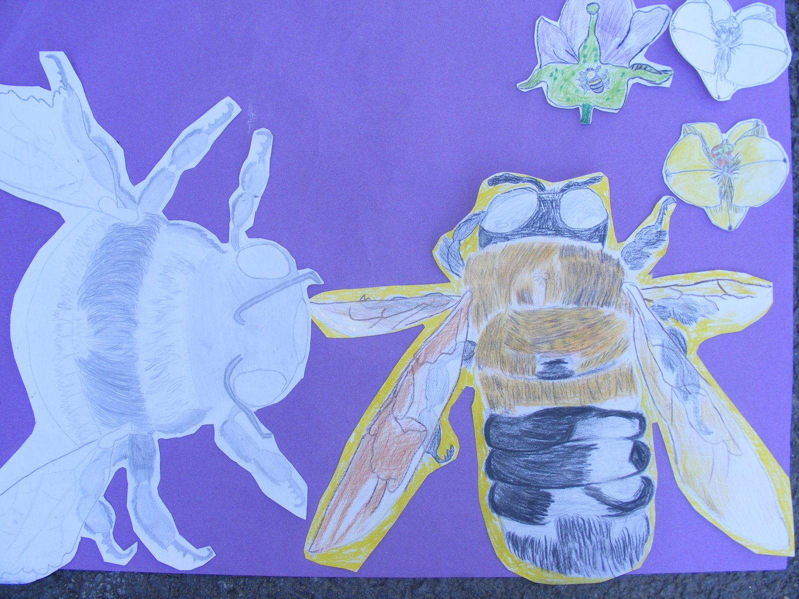 Art Room Ennistymon VS: Junior Cert Projects in progress