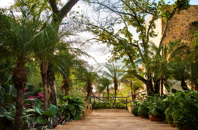 Marri Gattô - Deslizando nas curvas da mulher brasileira.