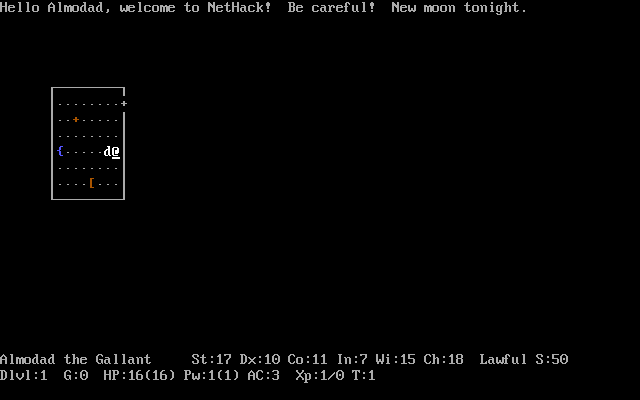 The CRPG Addict: NetHack: Dos and Don'ts