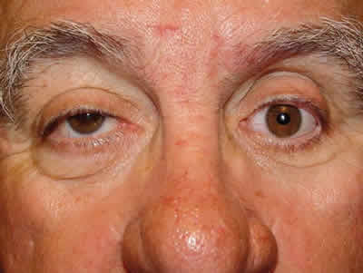 Aquest és el nostre ''visual'' treball de recerca!: Part teórica