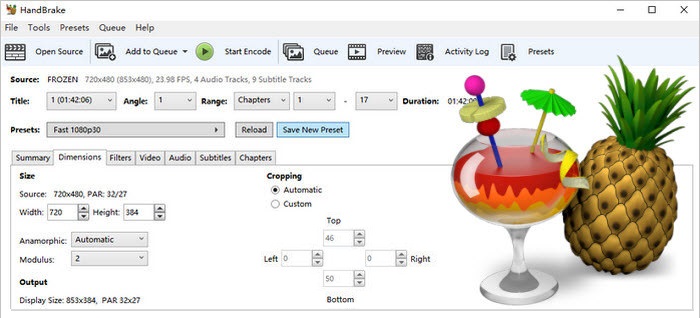 How to rip DVDs with Handbrake & WinX DVD Ripper | Aluth