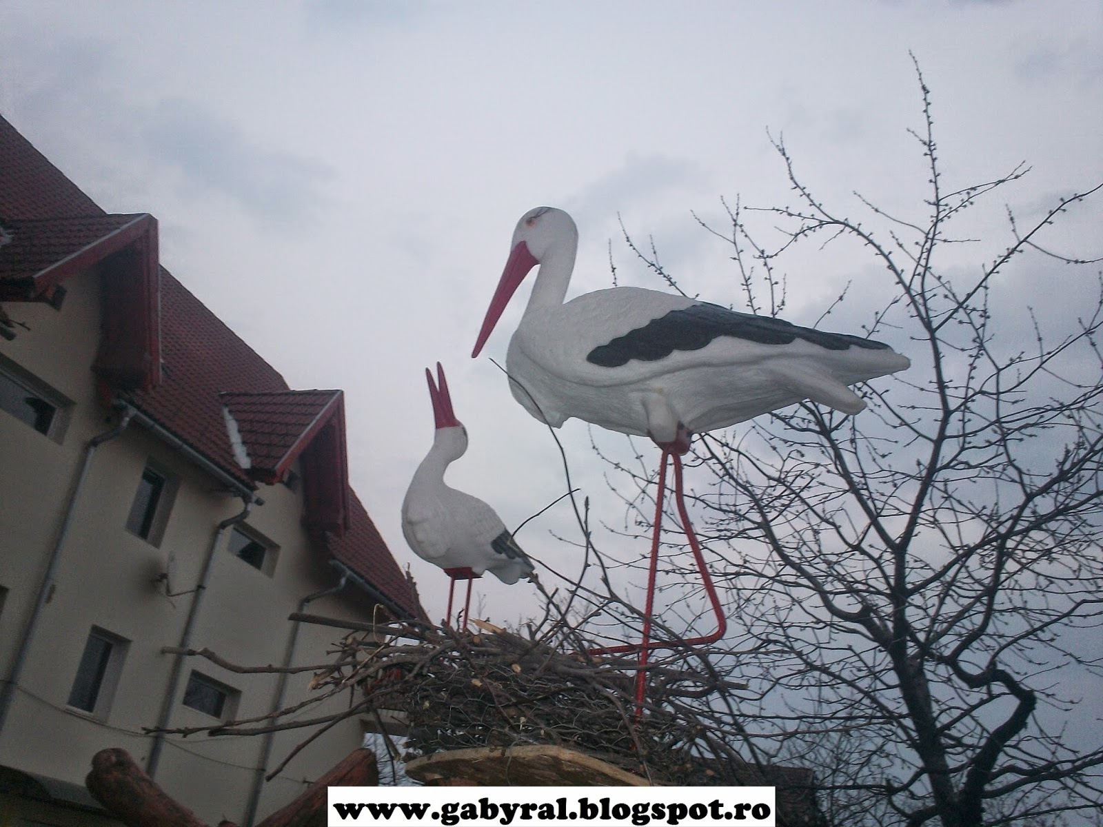 Berze de gradina | BRICOLAJ - GRADINA - SFATURI si IDEI
