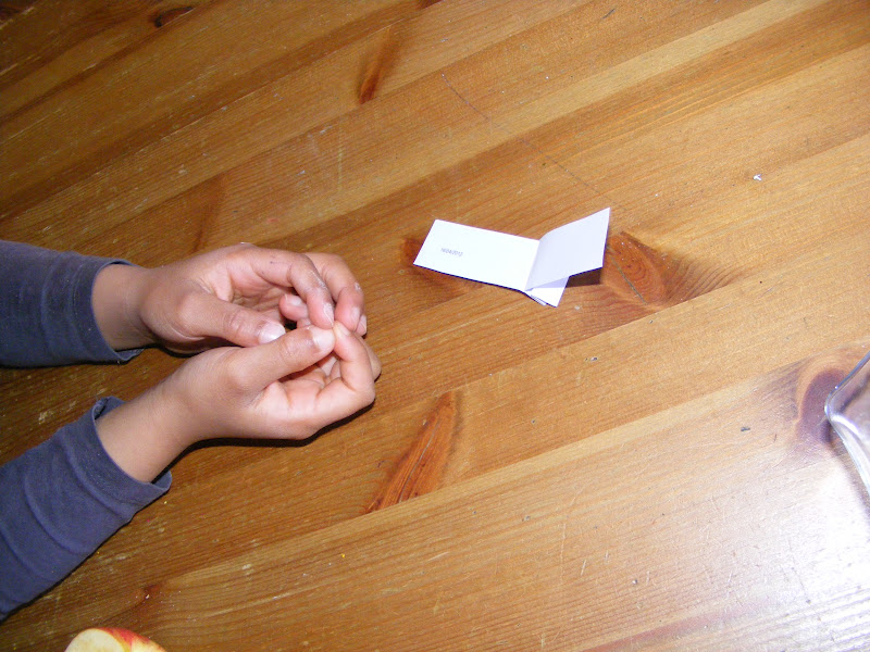 Homeschool Escapade: Botany Week 4 - Pollination and seed dispersal