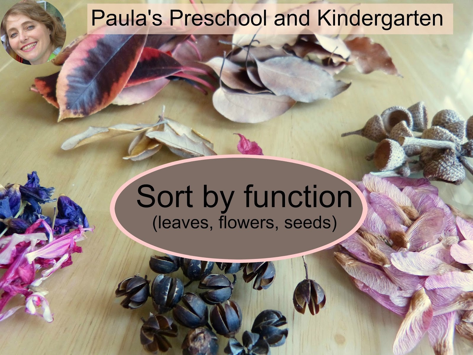 Paula's Primary Classroom: Celebrating Earth Day With Natural Materials
