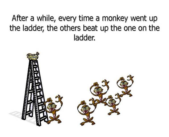 Interesting Facts: Five Monkeys Theory (Wet Monkey Theory)