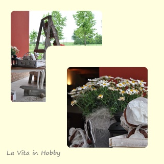 STELLA UN TESORO DEL MARE: PARLO DI LAURA ZANNI