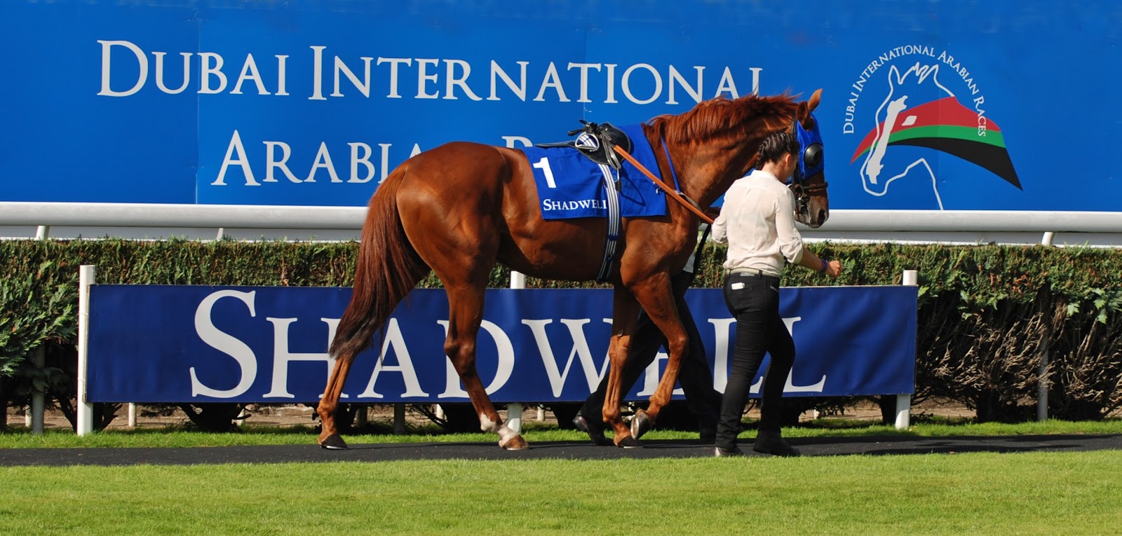 Visit Newbury: Dubai International Arabian Races