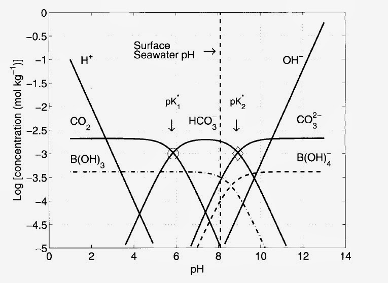 About how I see the world: Ocean acidification